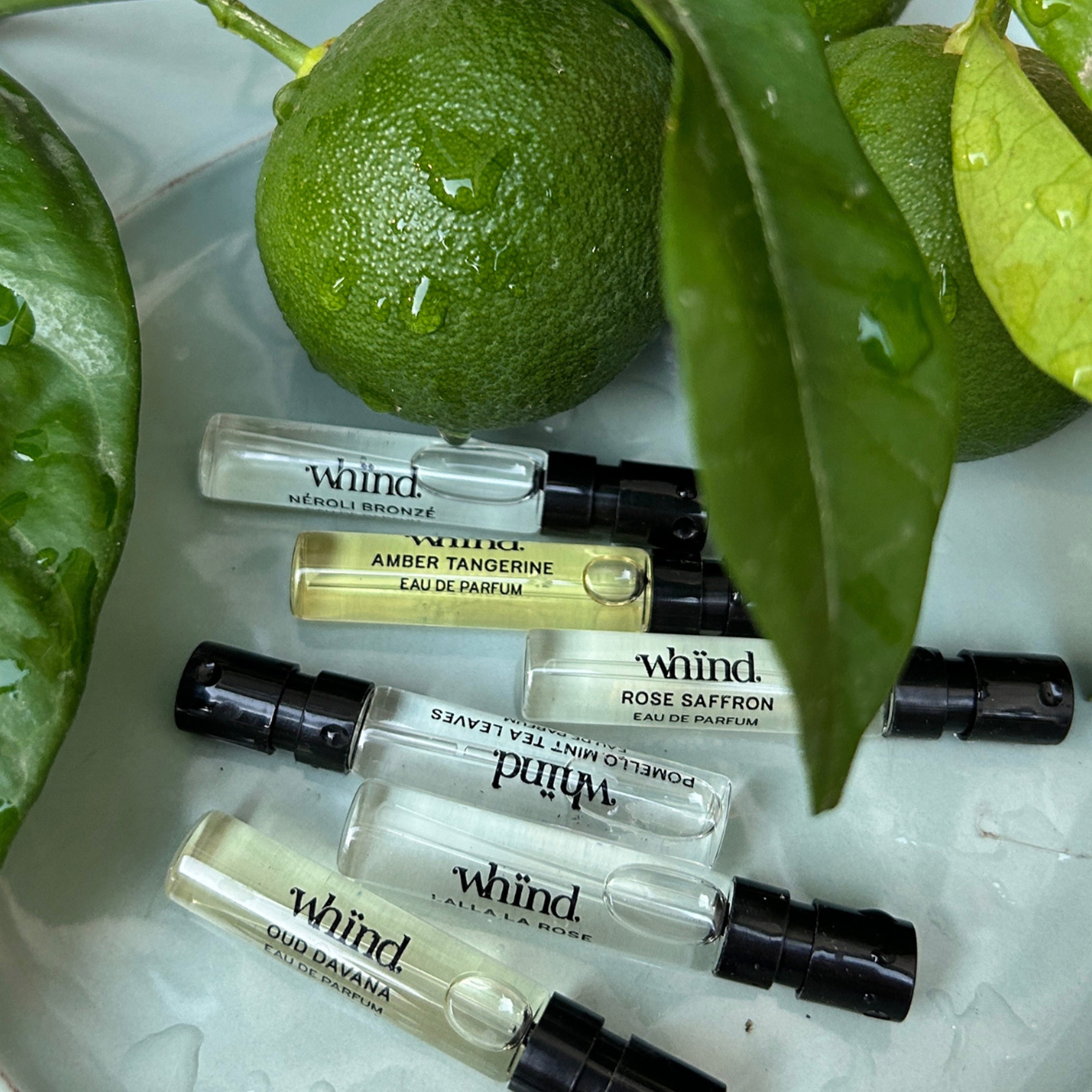 House of whind Fragrance Discovery Set – whind-US